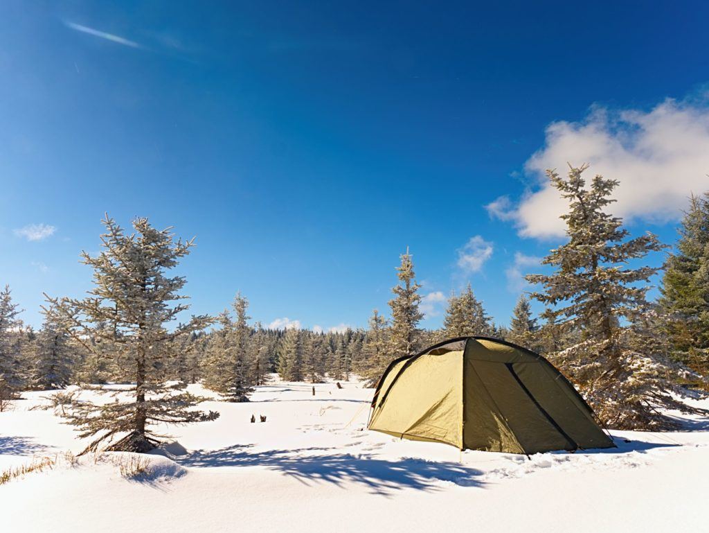 Winter camping on snow in the forest. Green tent hidden between trees ...
